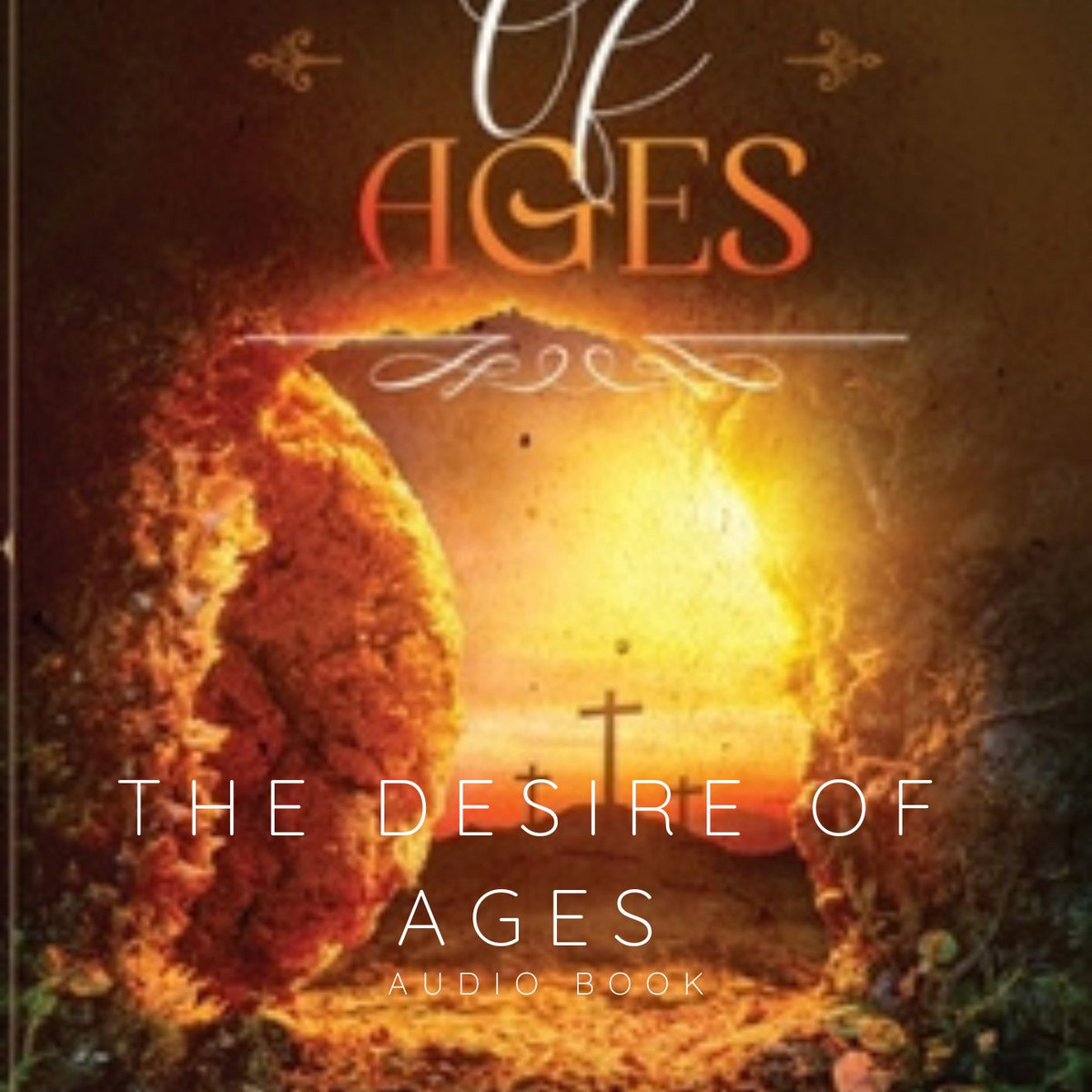 Weekly devotional The Desire of Ages (Nancy Hamilton) | Nancy Hamilton ...
