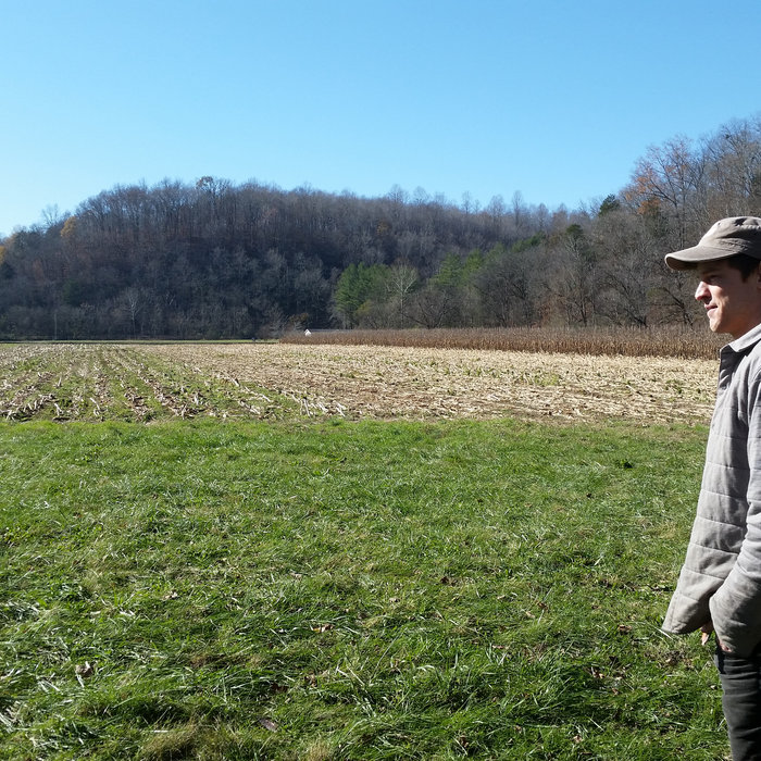 common restoration | dann pell | Dann Pell