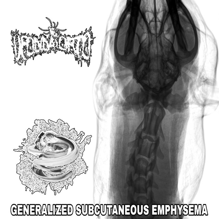 GENERALIZED SUBCUTANEOUS EMPHYSEMA | IXODIDA ORTO, PURULENT DISCHARGE ...