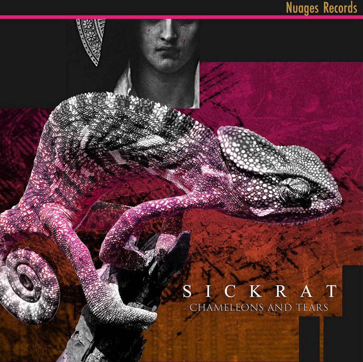 Chameleons and Tears | Sick rat