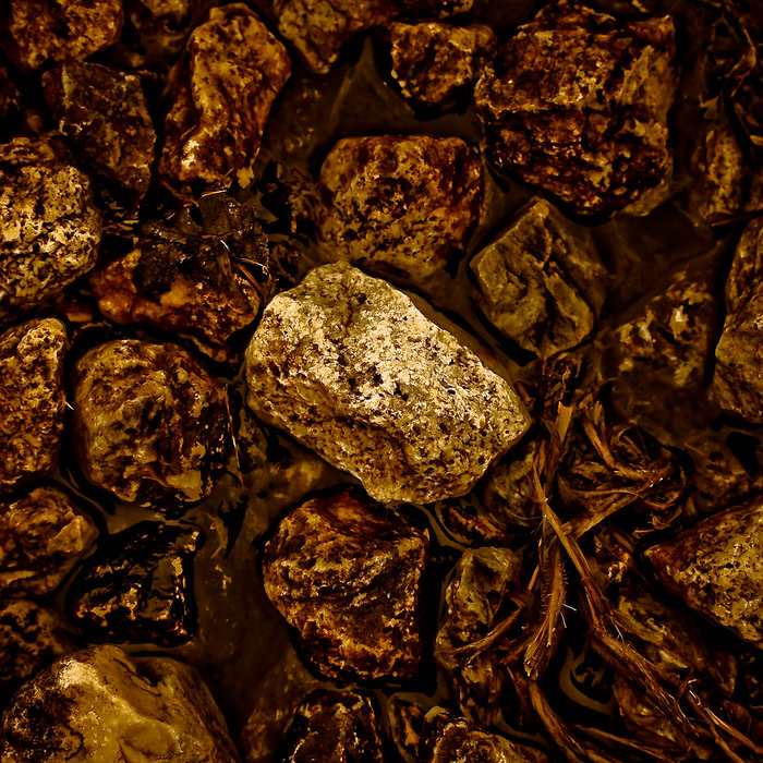 Spc1 | Jeremy Bible & Jason Henry