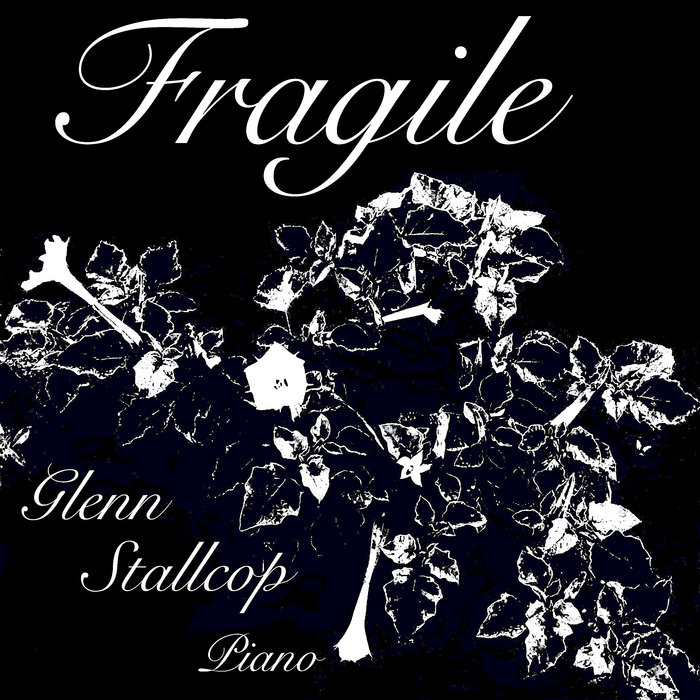 Fragile | Glenn Stallcop