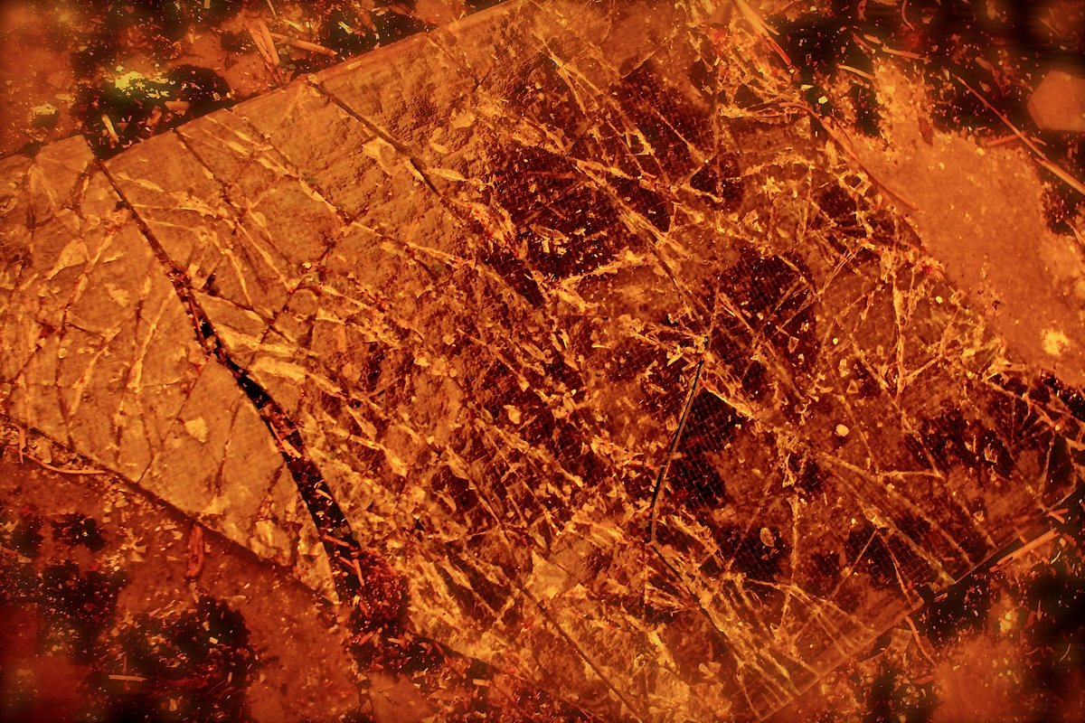 Two-headed Niche | Levi Kerr