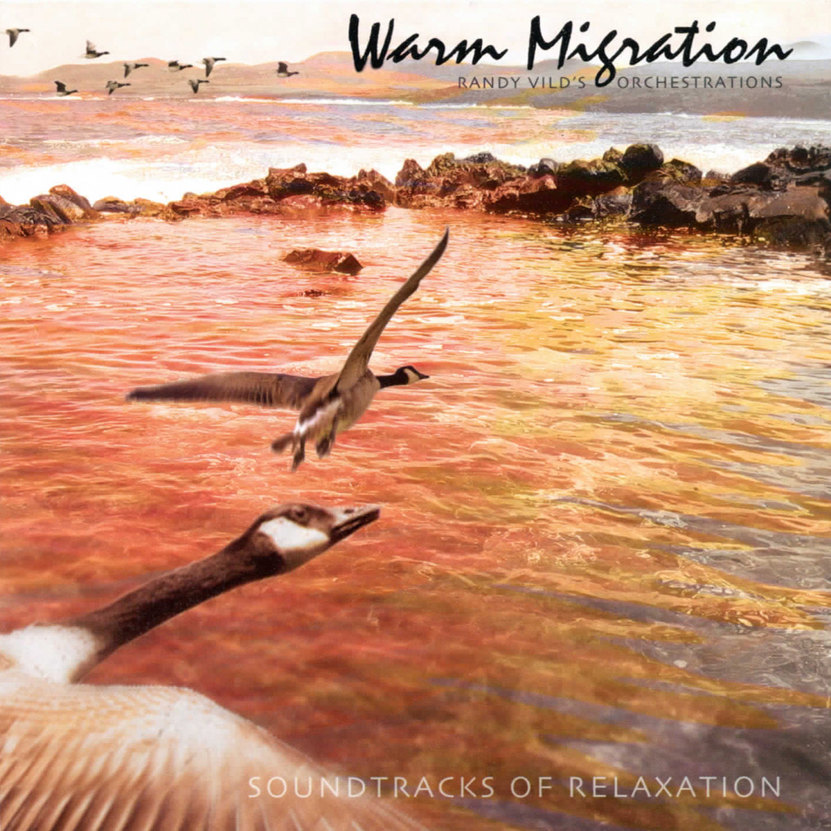 Warm Migration | Randy Vild