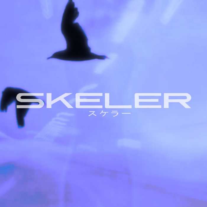 LIFESTYLE (Skeler x Sage Remix) | skeler.