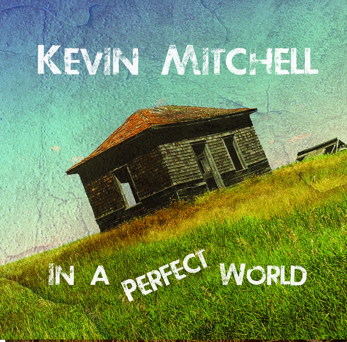 In A Perfect World 2016 | Kevin Mitchell