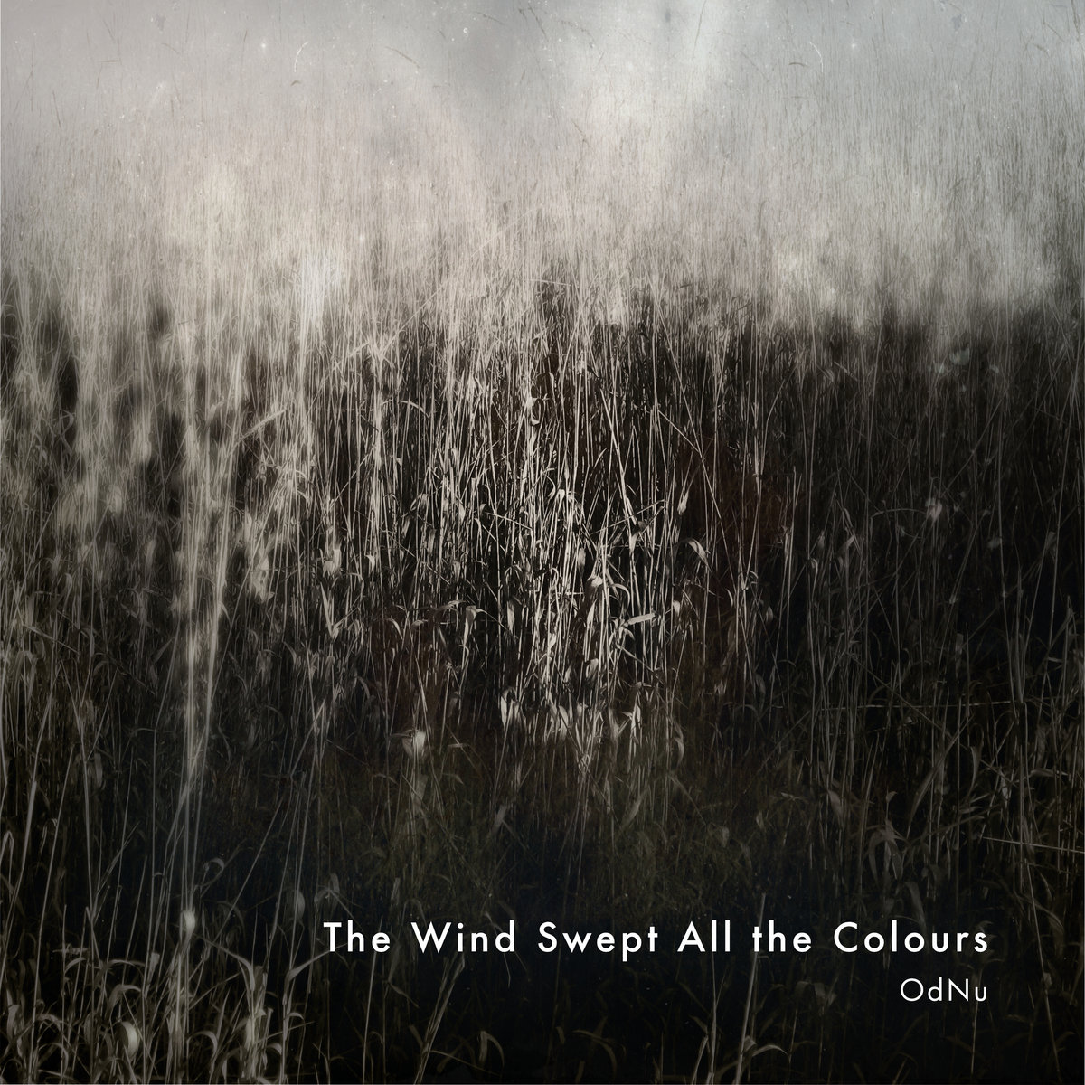 The Wind Swept All the Colours | OdNu | Driftworks