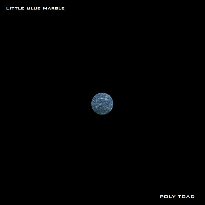 Little Blue Marble | Poly Toad