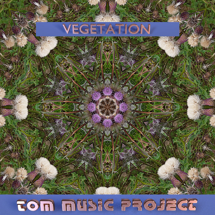 VEGETATION | Tom Music Project