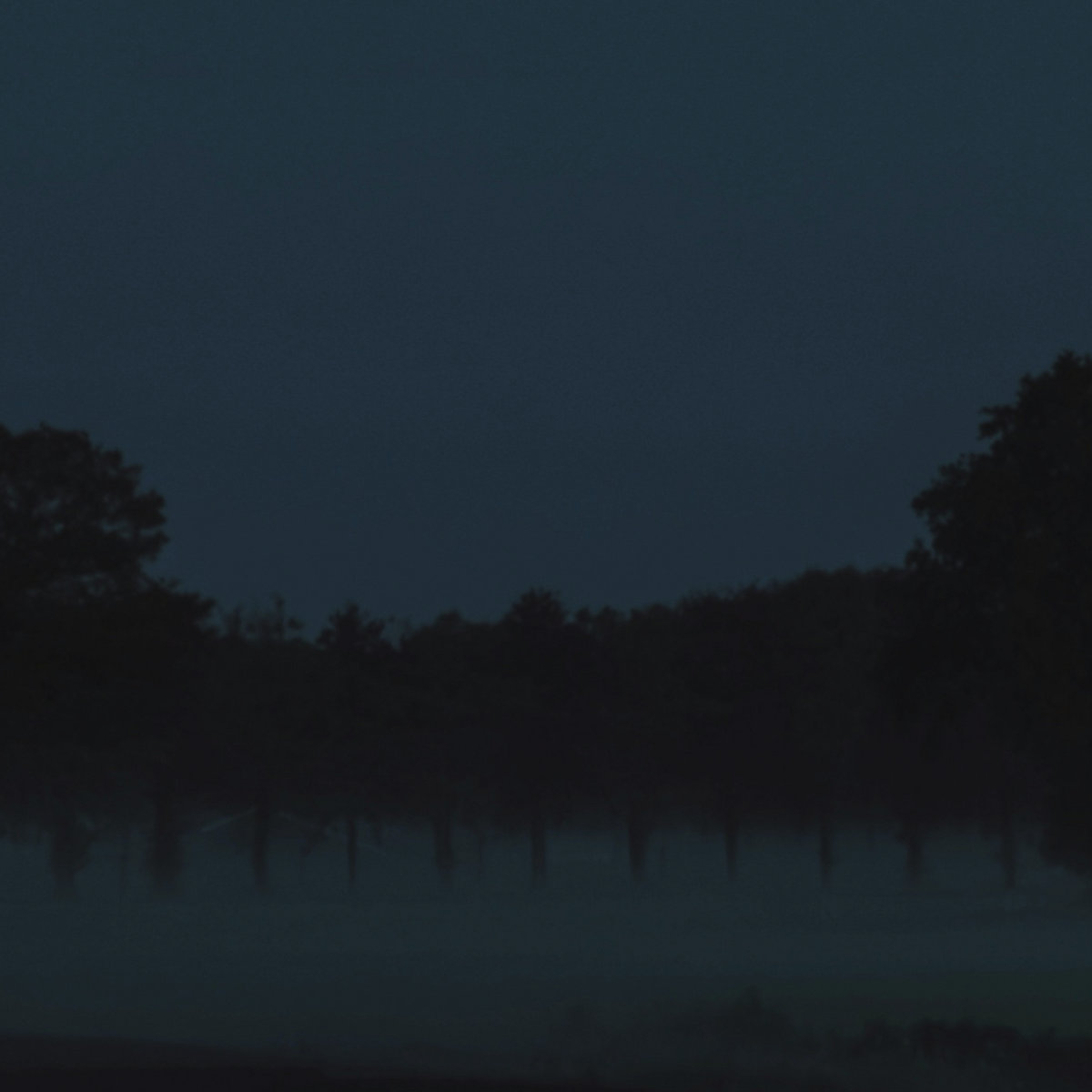Forgotten Pathways | Nyentek