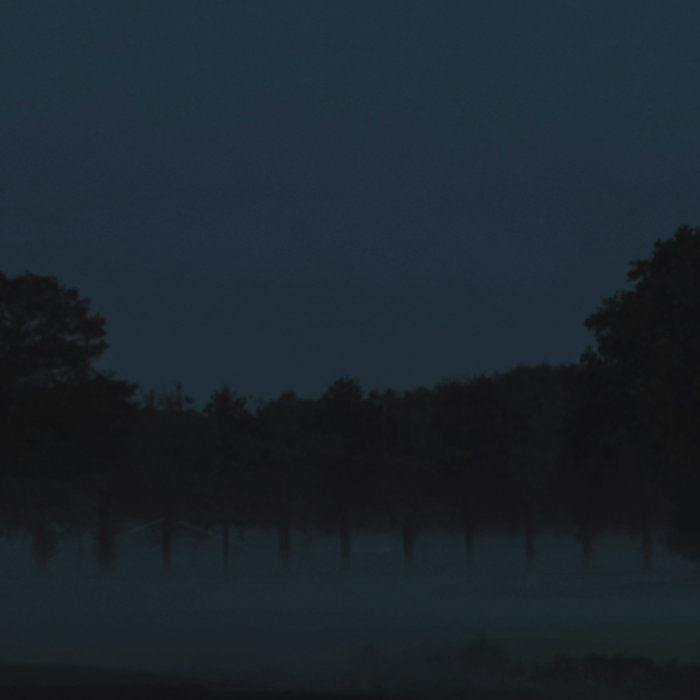 Forgotten Pathways | Nyentek