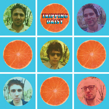Music | Tripping Daisy