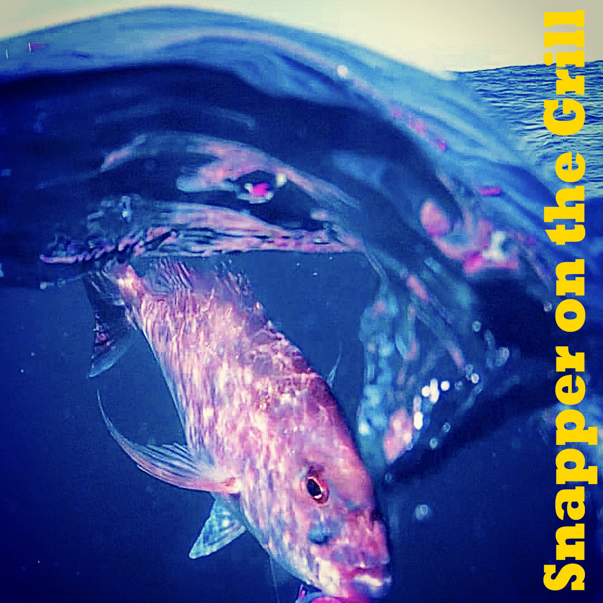 Snapper Fish In Water