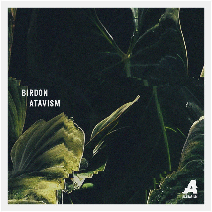 Atavism | Birdon