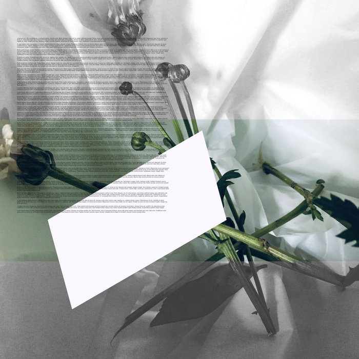 univocal | Shuta Hiraki