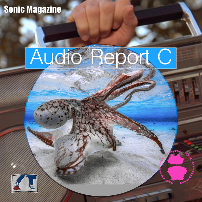 Audio Report C | various | Institute For Alien Research