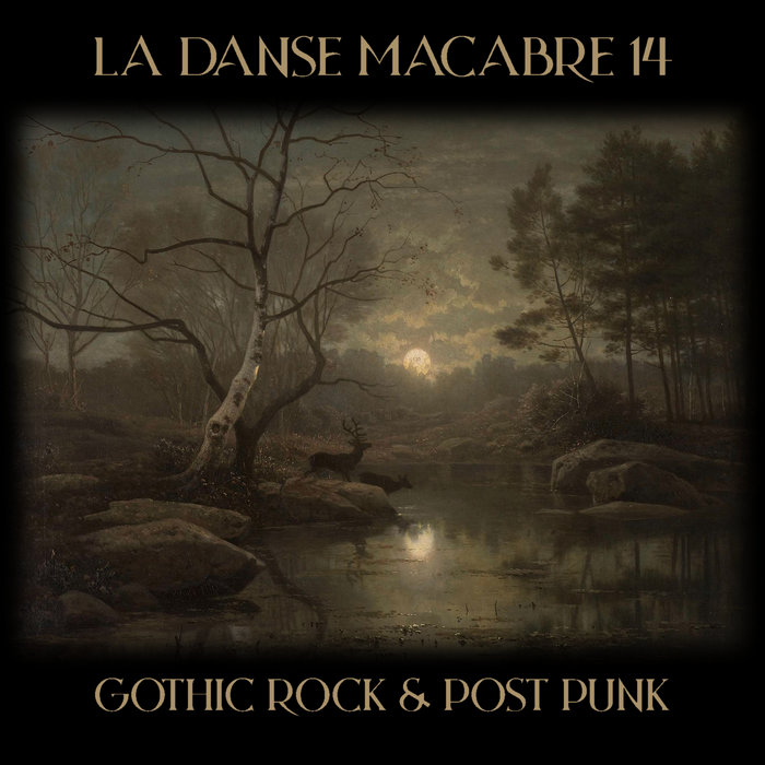 La Danse Macabre 14 | Various Artists | At Sea Compilations