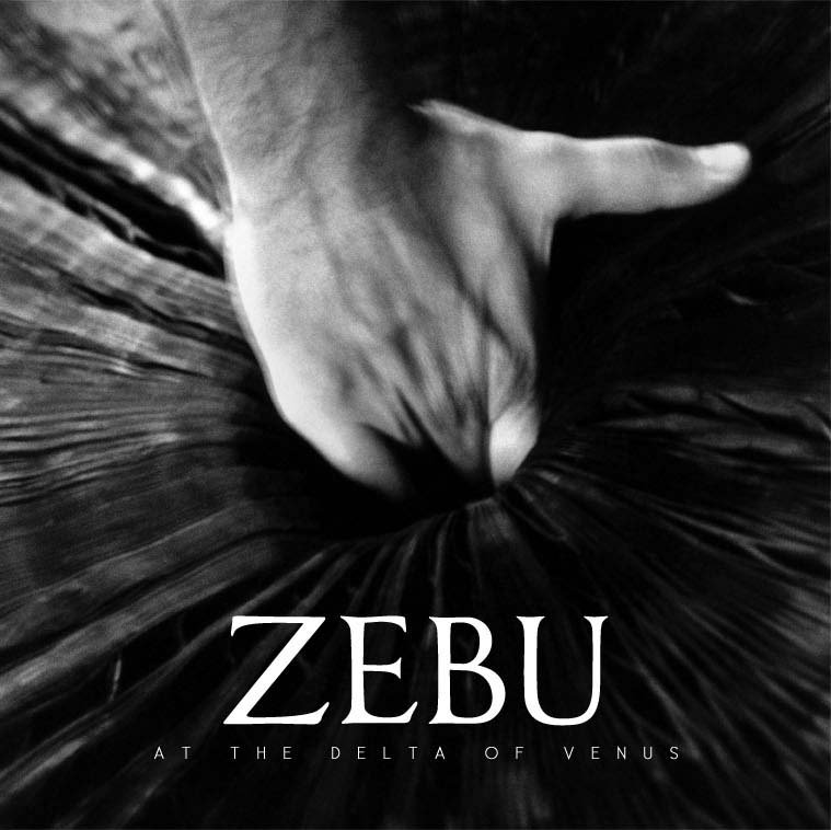 At The Delta Of Venus (EP) | Zebu