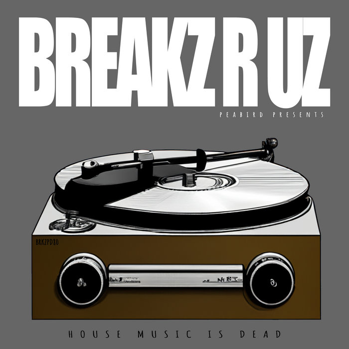 HOUSE MUSIC IS DEAD | PEABIRD