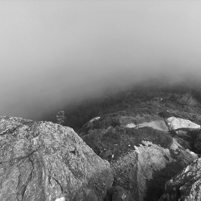 Lost Cause | Steel Winds