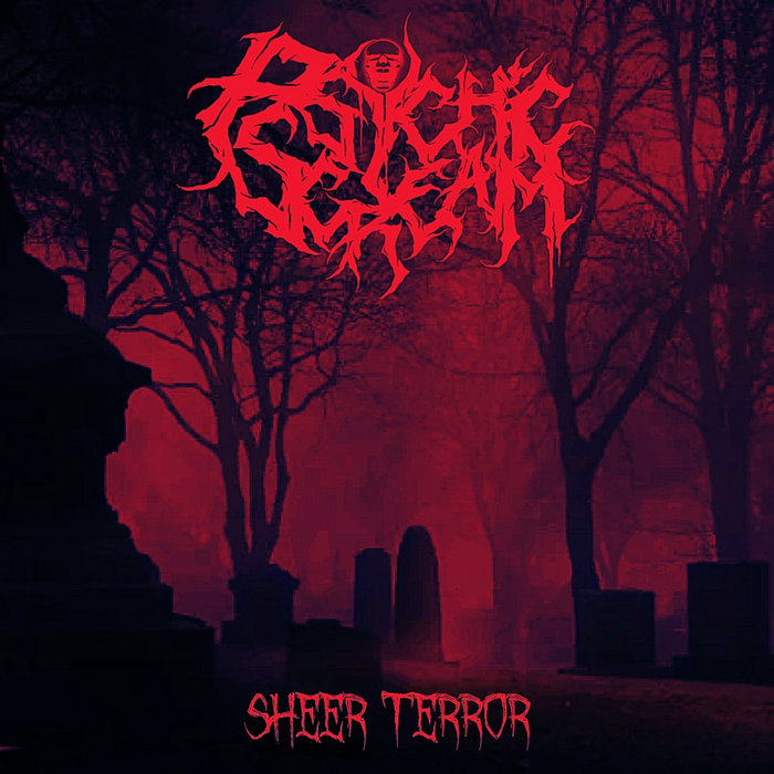 Sheer Terror | Psychic Scream | DII Records