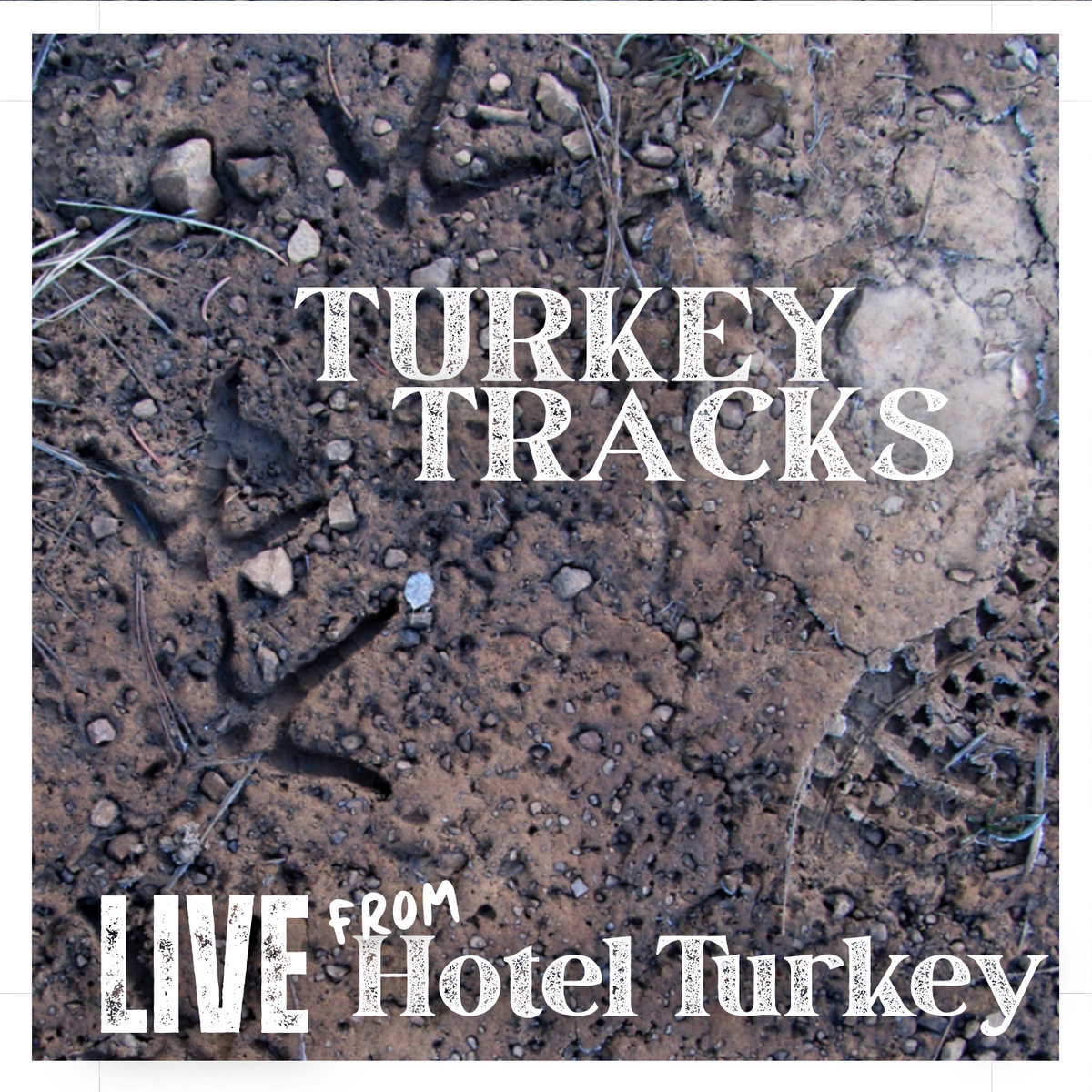 Turkey Tracks: July 18th, 2025 | Gatlin Johnson