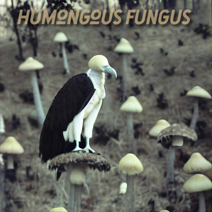Humongous Fungus | Humongous Fungus