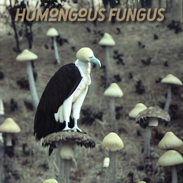Humongous Fungus | Humongous Fungus