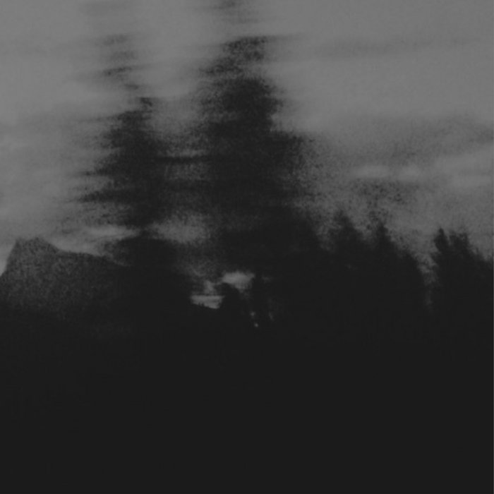 collection | Patrick Kinch