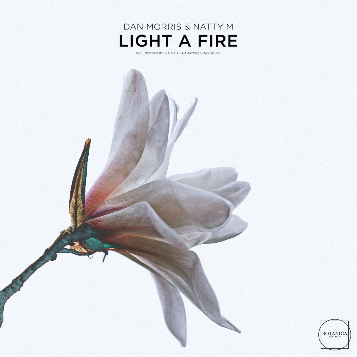 Dan Morris & Natty M - Light a Fire | Dan Morris & Natty M | Botanica ...