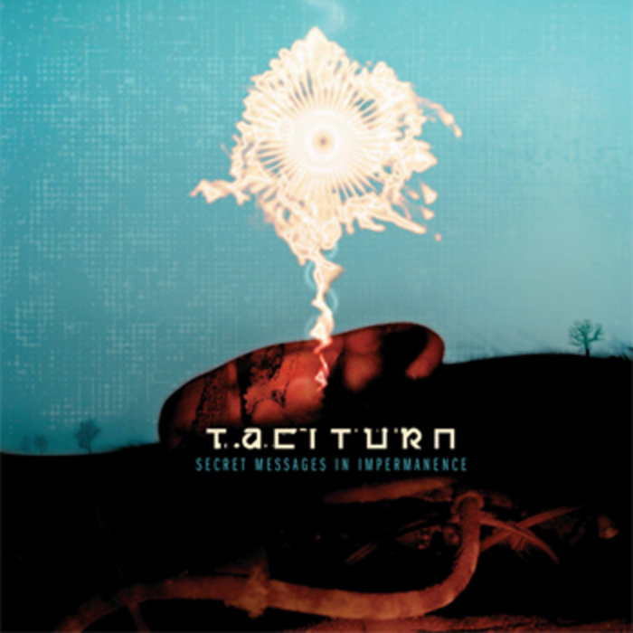 Secret Messages in Impermanence | TACITURN