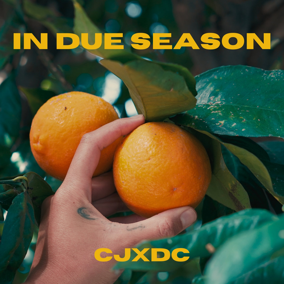 In Due Season | CJXDC | DC