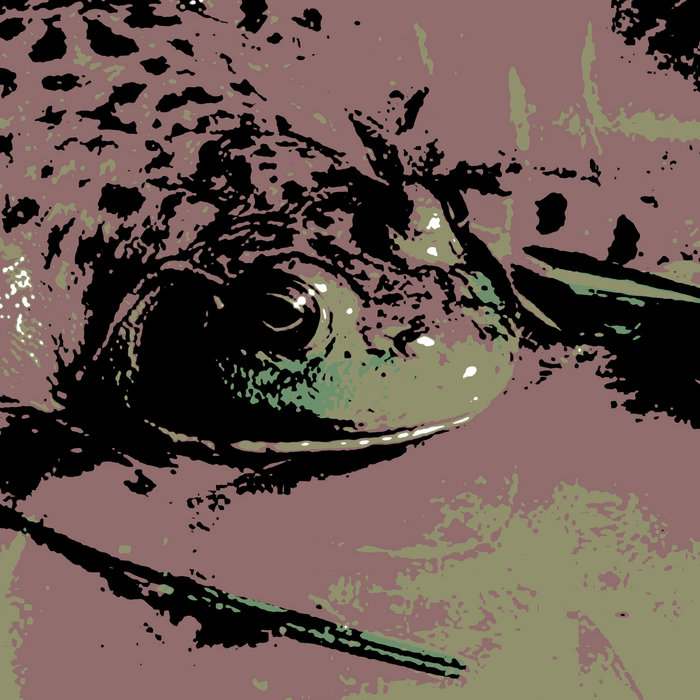 Ranidae's Rainy Day Noise | Forest of Frogs