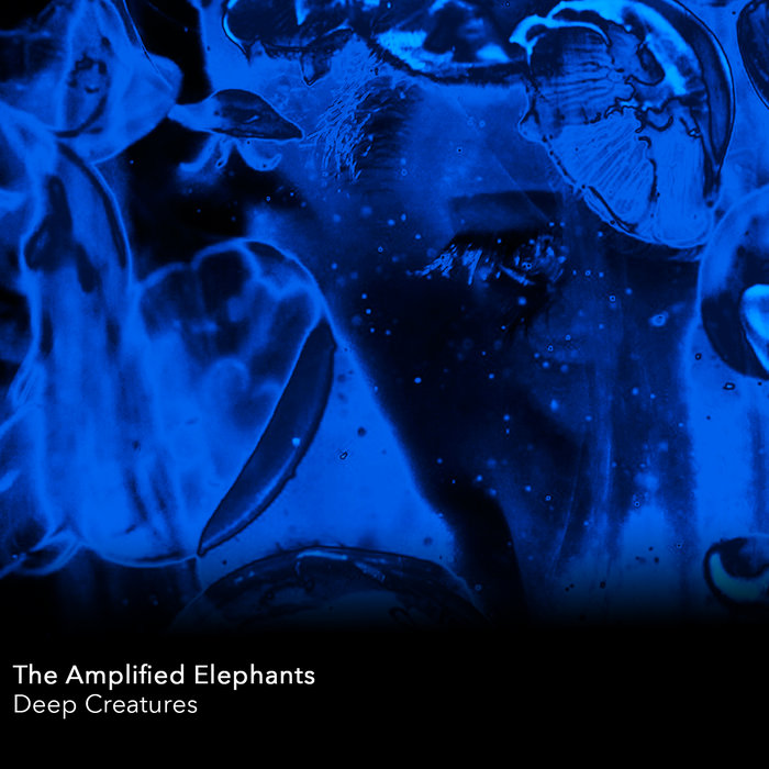 DEEP CREATURES | THE AMPLIFIED ELEPHANTS