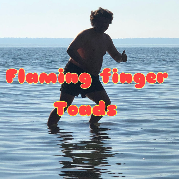 Twenty Twenty Demos | THE FLAMING FINGER TOADS