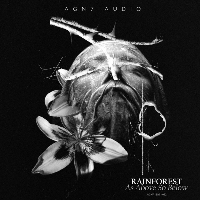 As Above So Below | Rainforest | AGN7 Audio