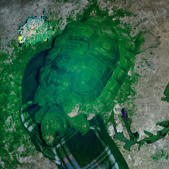 LluviA InmundA | LluviA InmundA