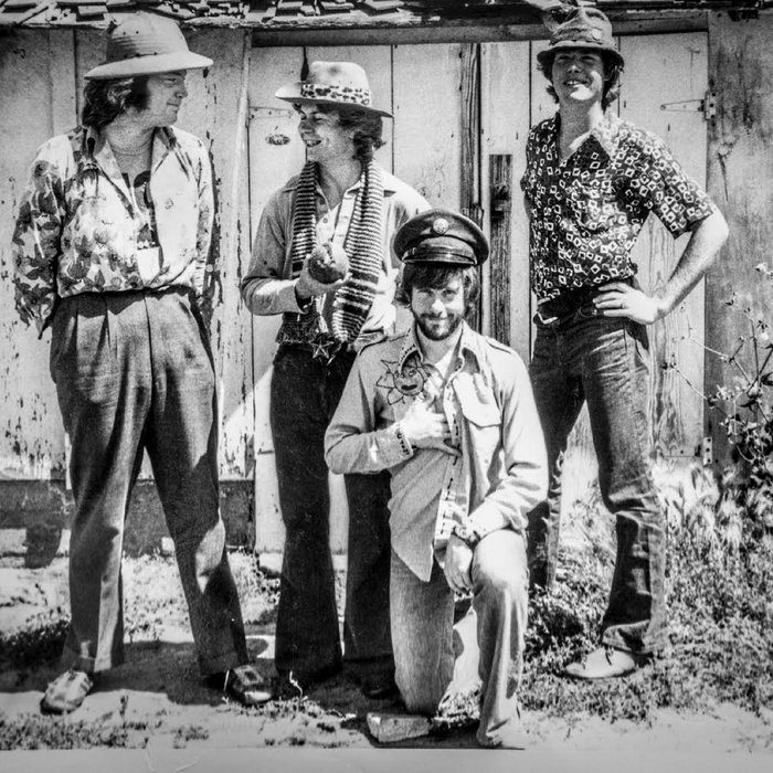 The Vanitys - The Long Lost Vanitys Record | The Vanitys | Rings Of ...