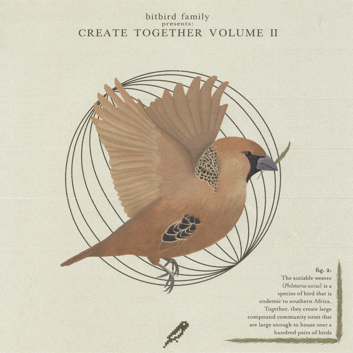 create together vol.2 | bitbird