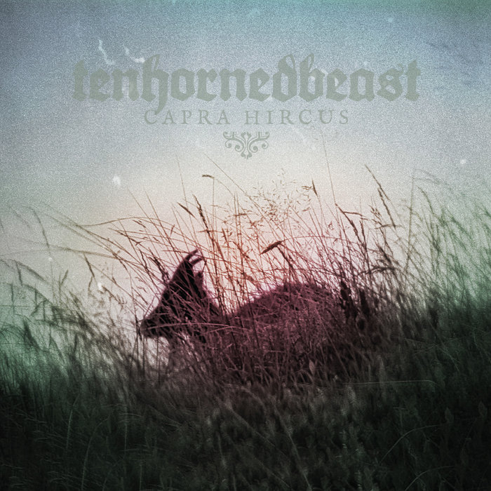 Capra Hircus (CSR338CD) | TenHornedBeast | Cold Spring