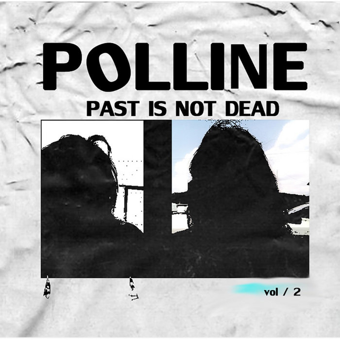 PAST IS NOT DEAD Volume 2 | Polline