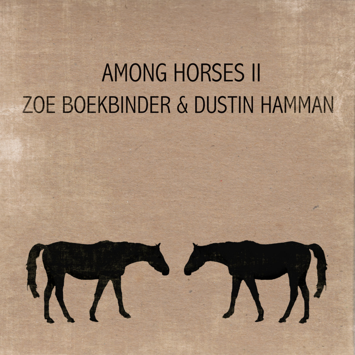 Among Horses II | Zoe Boekbinder & Dustin Hamman | Son Canciones