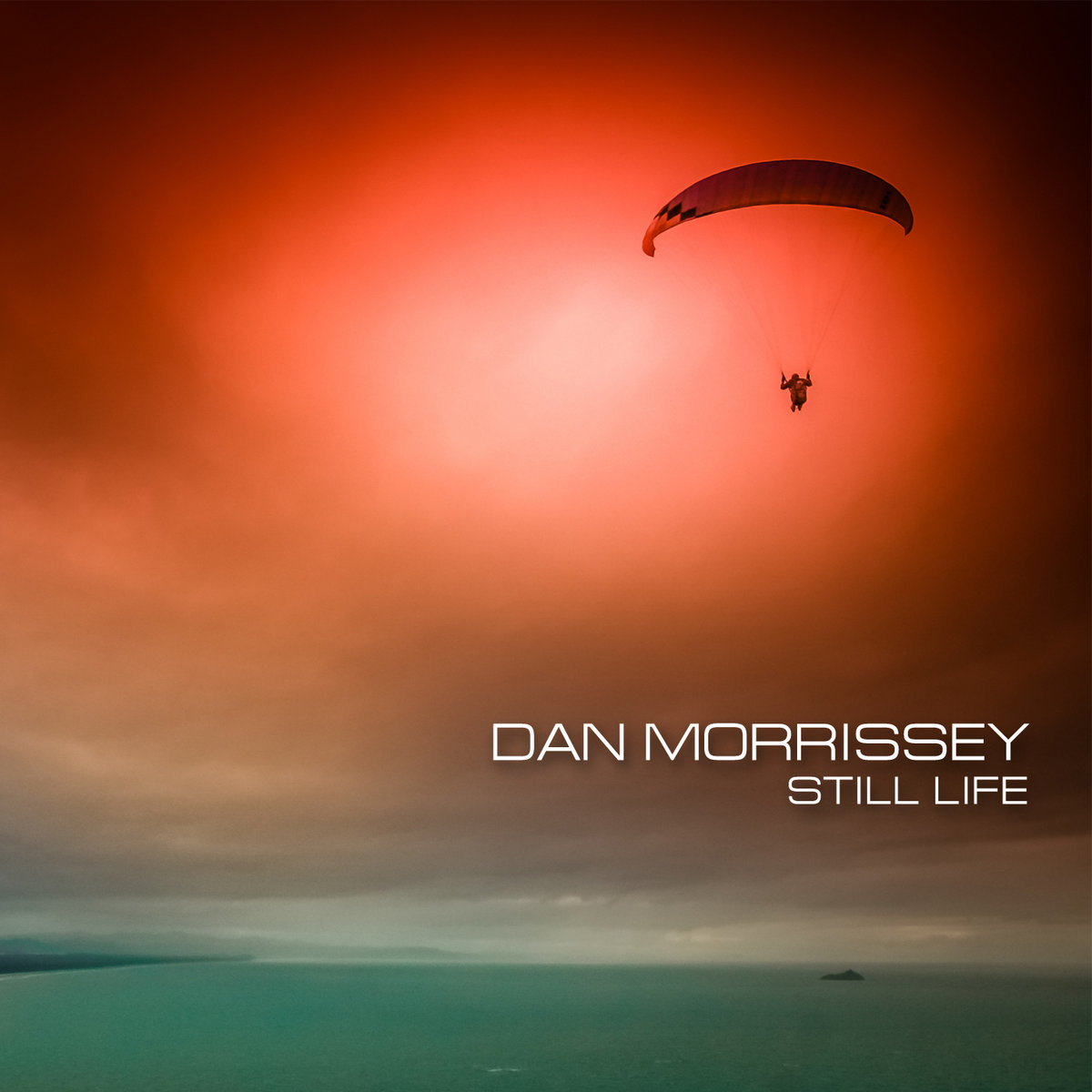 Still Life | Dan Morrissey