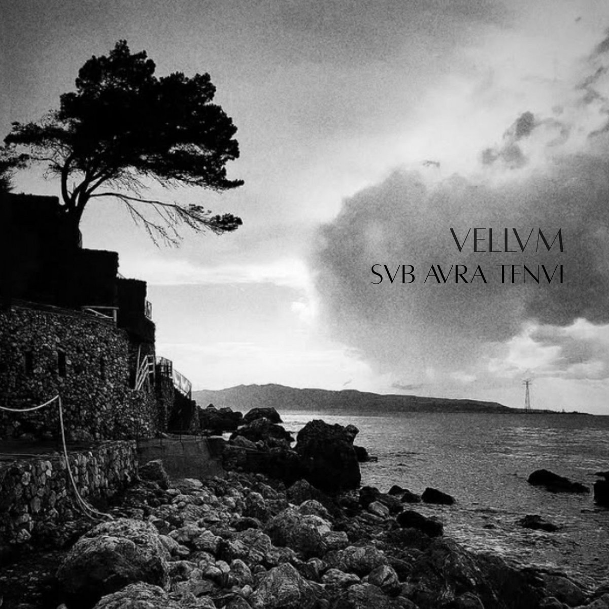 Svb Avra Tenvi | VELLVM
