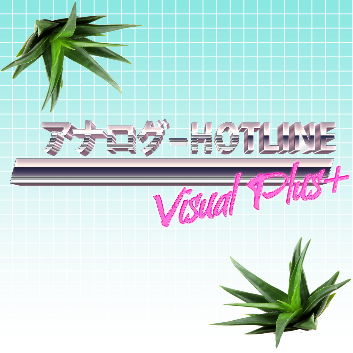 Visual Plus+ | アナログ–HOTLINE