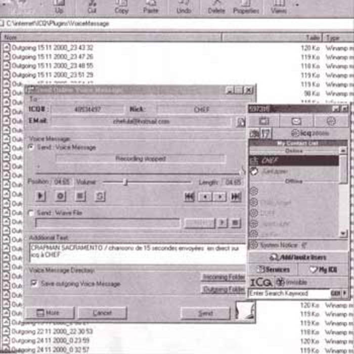 Test icq 2002 | Crapman Sacramento