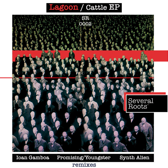 Cattle | Lagoon | Several Roots