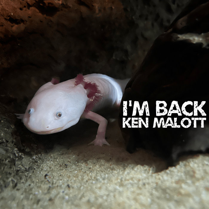 I'm Back | Ken Malott