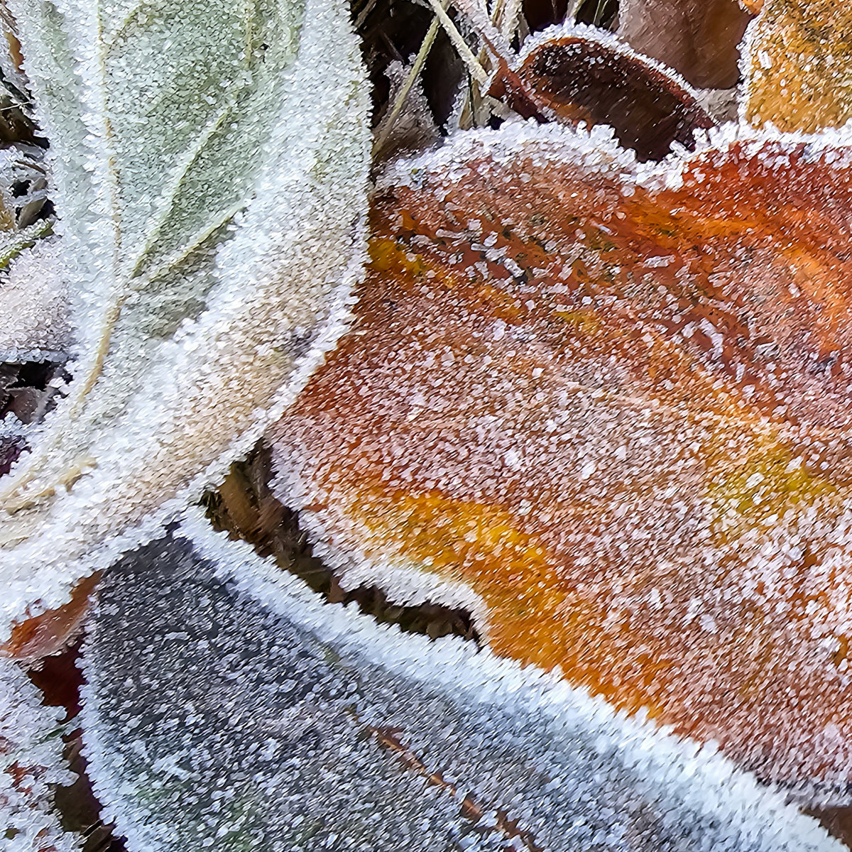 Winter | Stefan Matthias