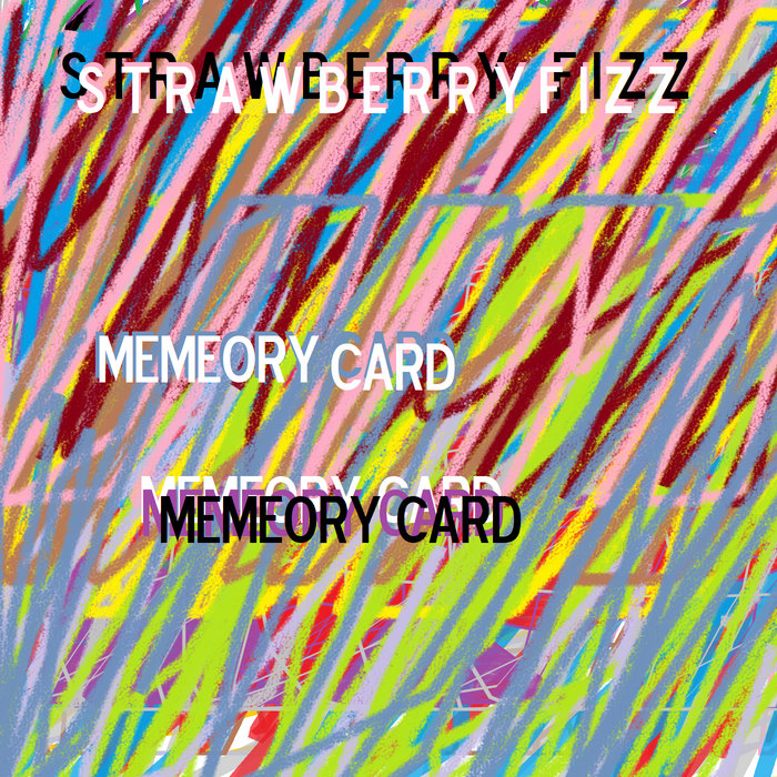 MEMEORY CARD | hatchawayhaunting